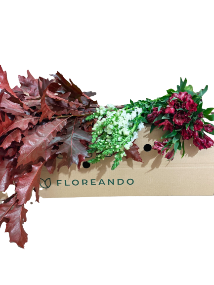 Caja Roble | FLOREANDO